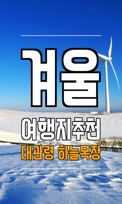 겨울 여행지 추천 강원도 평창 여행코스 대관령 하늘목장 체험들 네이버 포스트
