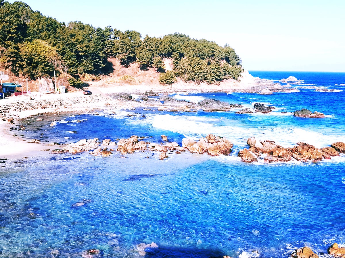 울진가볼만한곳 ♥ 월송정 And 죽변항 And 죽변등대 여행코스 네이버 포스트