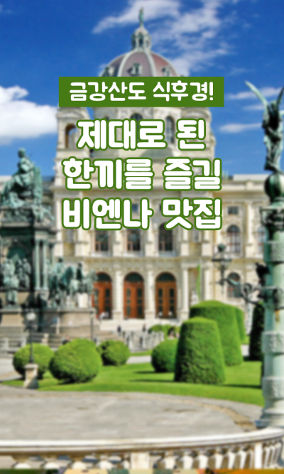 금강산도 식후경 제대로 된 한끼를 즐길 비엔나 맛집 네이버 포스트