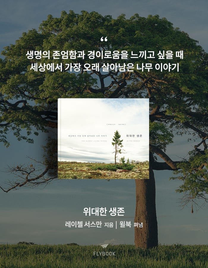 책추천 자연과 생명의 소중함을 느낄 수 있는 책 네이버 포스트