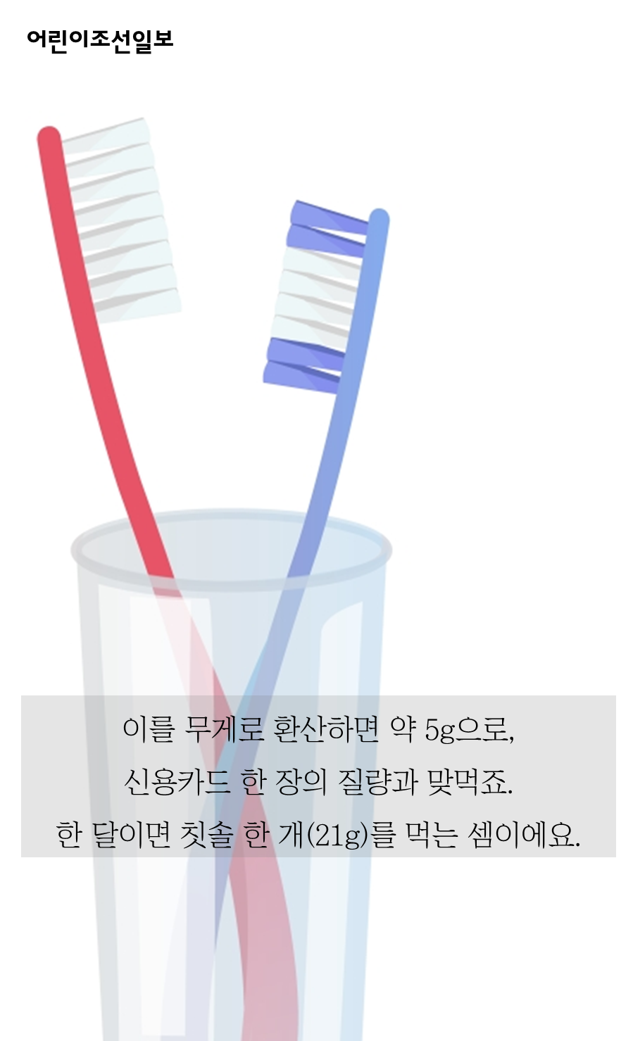 매주 신용카드 한 장 미세플라스틱 먹고 있다고 네이버 포스트