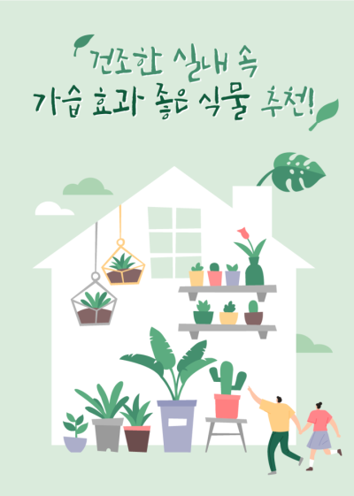 건조한 실내 속 가습 효과 좋은 식물 추천 네이버 포스트