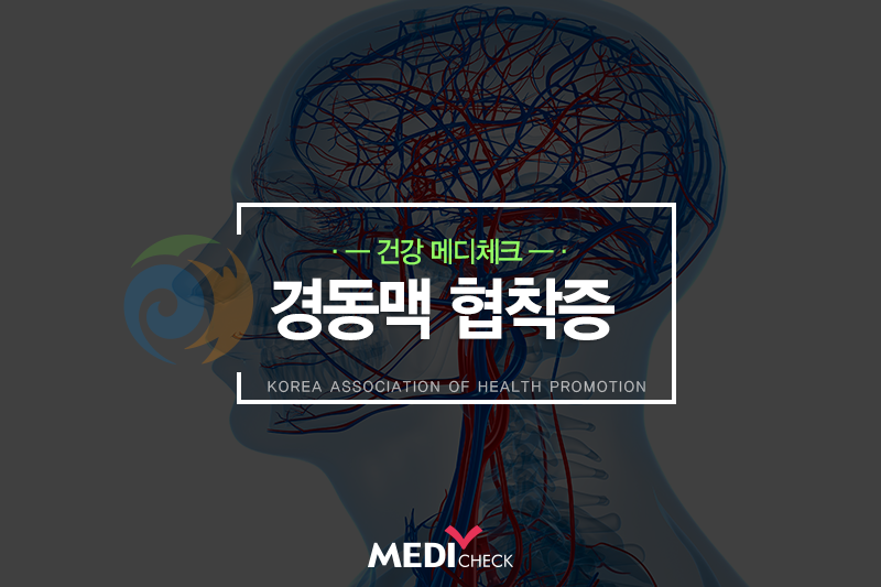 혈관이 막히는 경동맥 협착증과 초음파검사 네이버 포스트