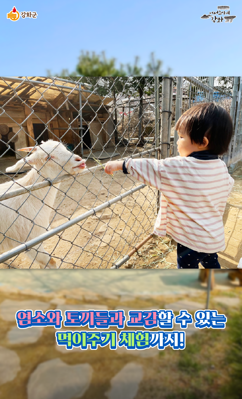 아이들과 함께 자연에서 뛰놀자 강화 시리미 자연놀이 체험장 네이버 블로그