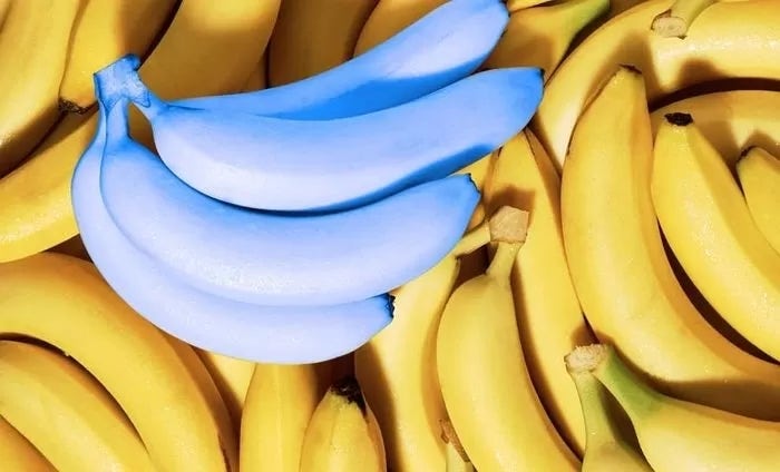 식욕 뚝 떨어지는 파란색인데 핵달달한 아이스크림 맛 나는 블루 바나나 네이버 포스트