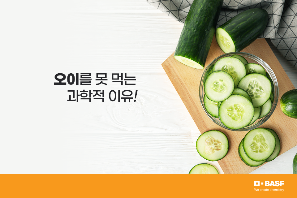 오이를 못 먹는 과학적 이유 네이버 포스트