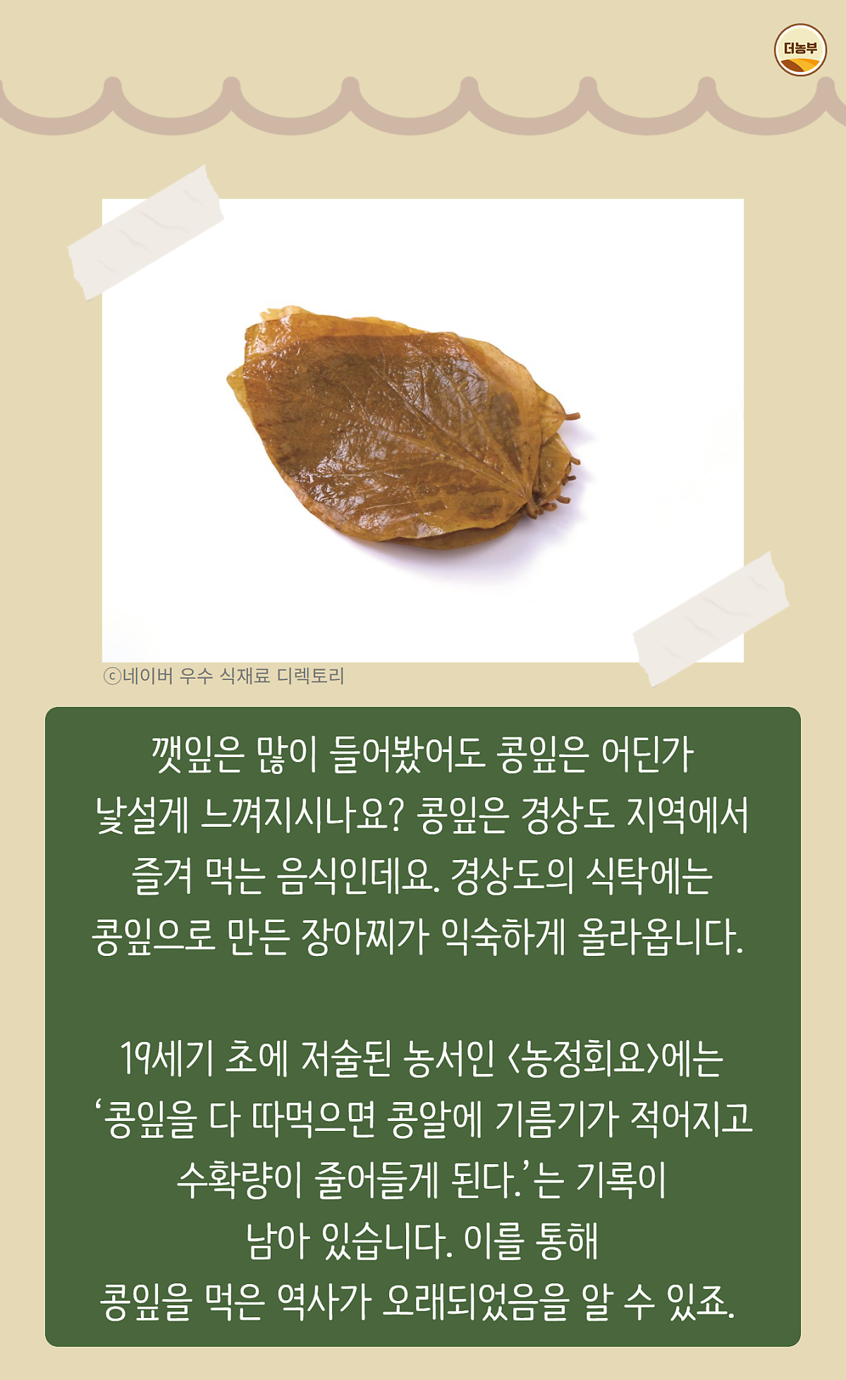 경상도에서는 밥도둑 반찬 콩잎 효능 파헤치기 네이버 포스트