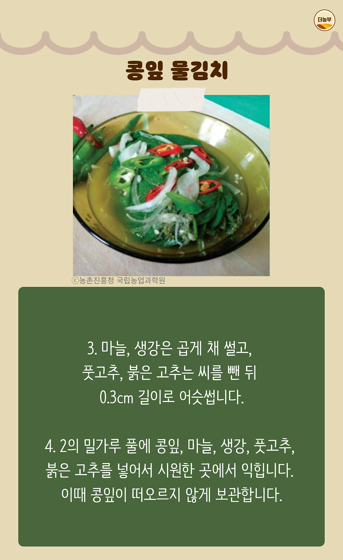 경상도에서는 밥도둑 반찬 콩잎 효능 파헤치기 네이버 포스트