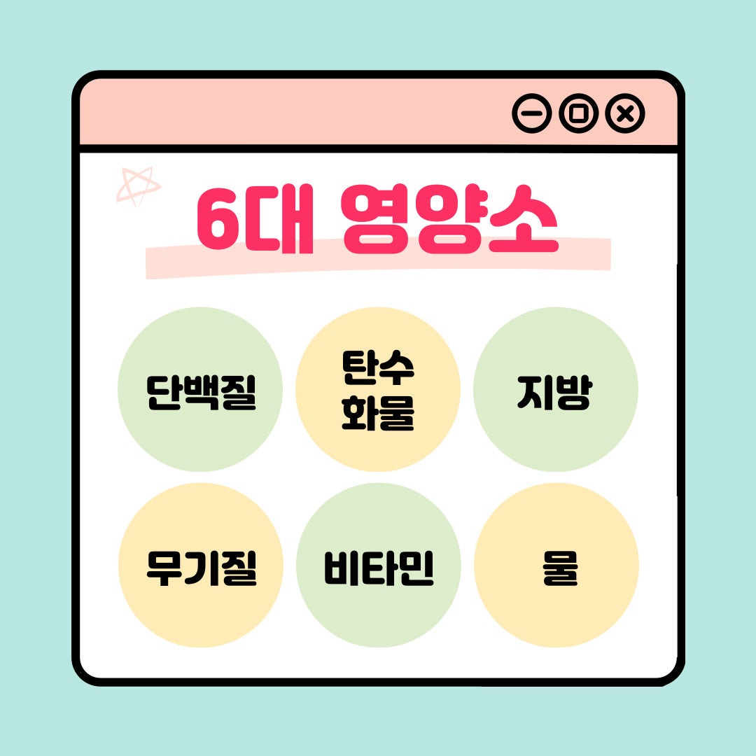 초유 효능 추천 초유 단백질 프로틴 아크 어써라이즈로 매일 섭취 중 네이버 포스트