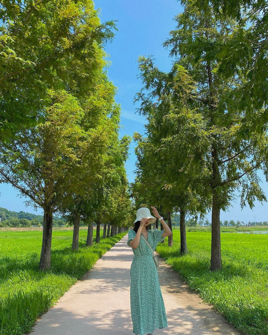 강릉 사진찍기 좋은 여행지 경포생태저류지 네이버 포스트