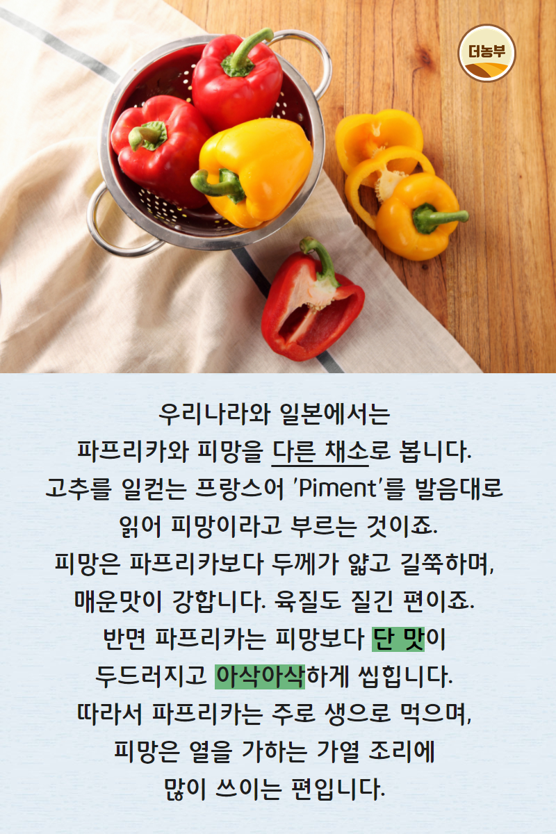 파프리카 피망과 어떻게 다를까색마다 다른 효능 알아보기 네이버 포스트