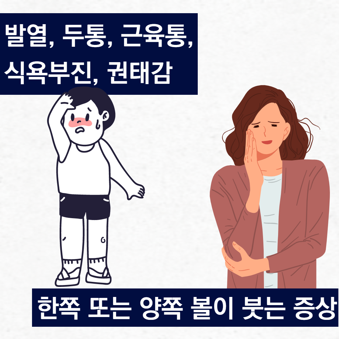 볼거리 증상 및 전염성 유행성 이하선염 예방접종 정보 네이버 포스트