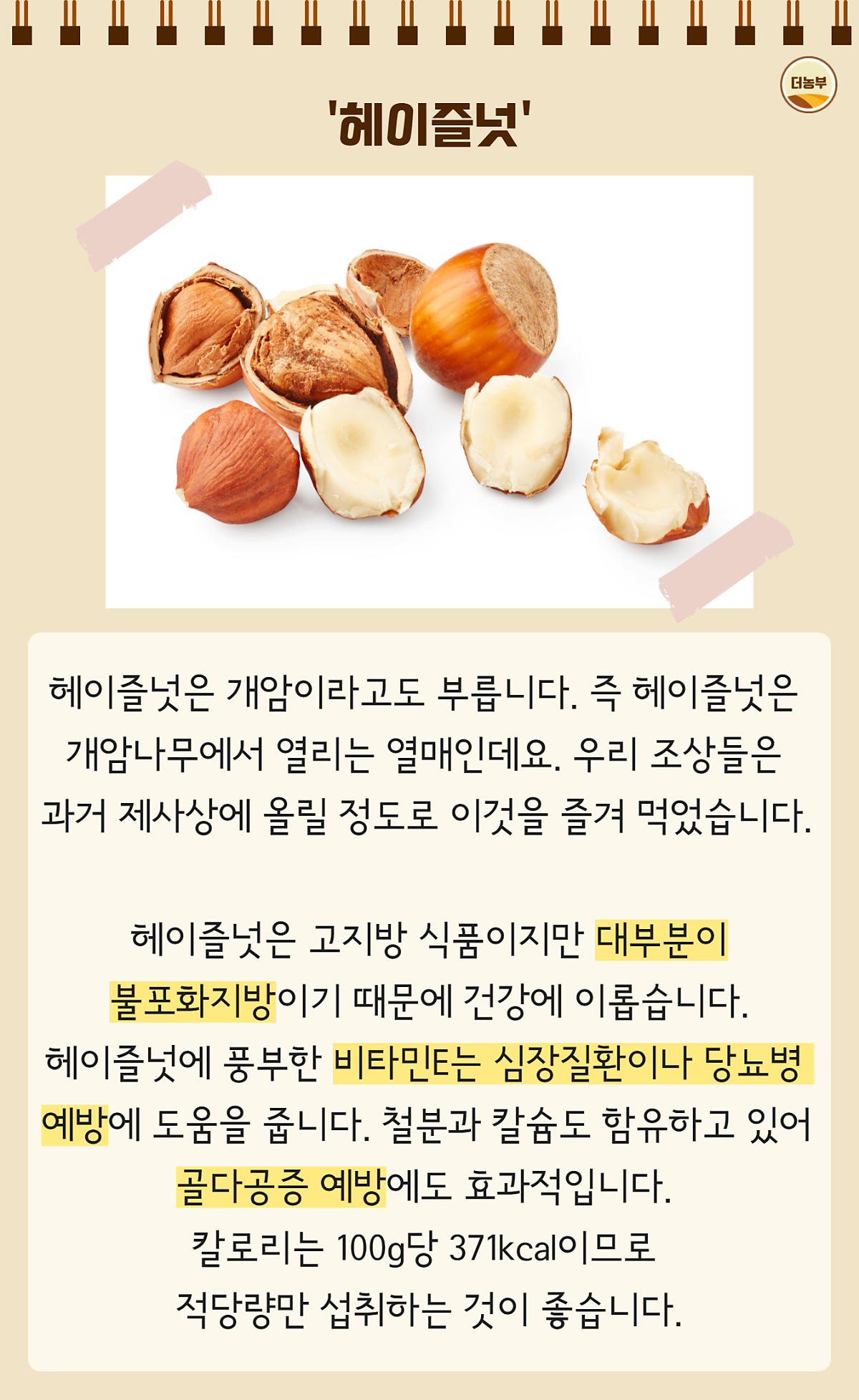 내가 먹은 이 견과류의 이름은 견과류 종류와 효능 총정리 네이버 포스트