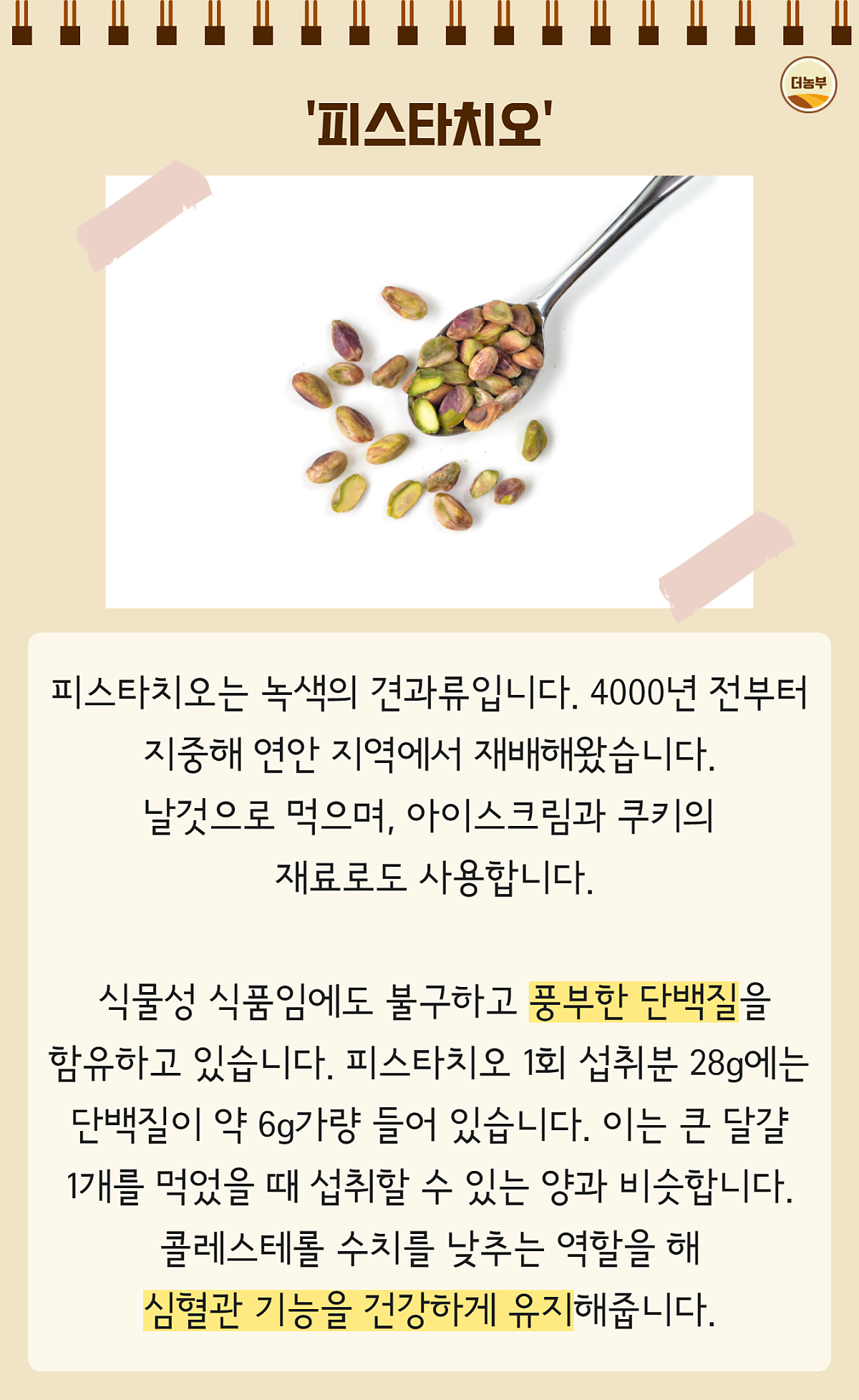 내가 먹은 이 견과류의 이름은 견과류 종류와 효능 총정리 네이버 포스트