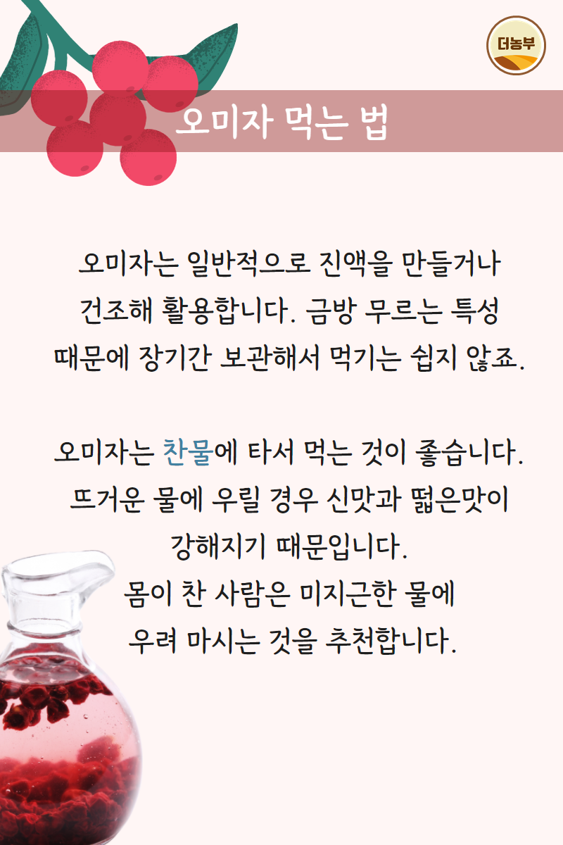 다섯 가지 맛 오미자 효능부터 먹는 법까지 네이버 포스트