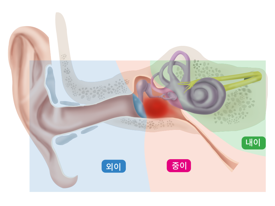 한쪽 귀 먹먹 귀가 먹먹할때 어떻게 한쪽귀가 안들려요귀구조 네이버 포스트