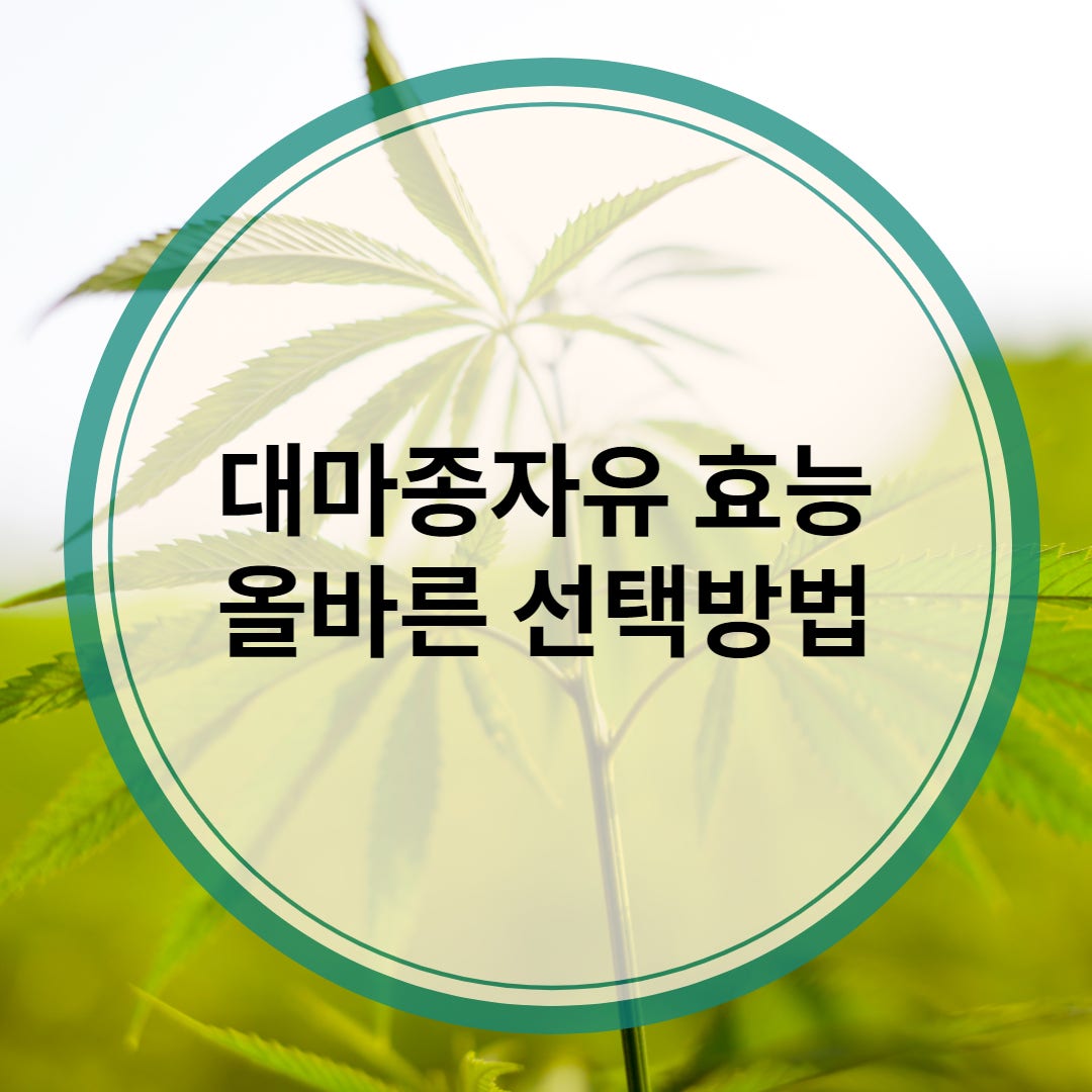 대마종자유 효능 및 올바른 대마종자유 효능 선택방법 네이버 포스트