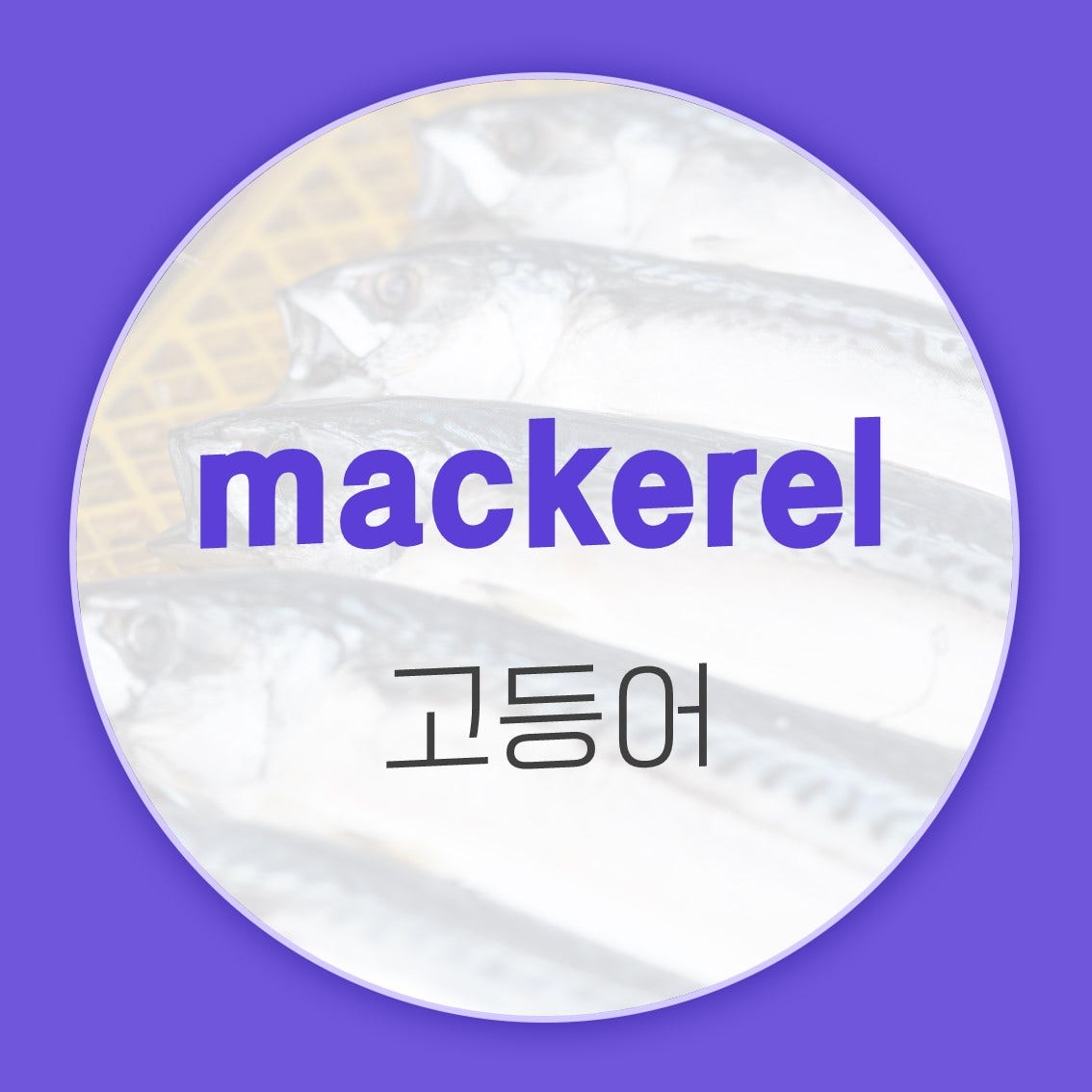 생선이름 영어 단어 고등어 멸치 대구 송어 영어로 하면 네이버 포스트