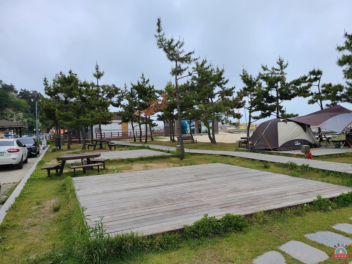 양양 바다 전망 캠핑장 동산항 해수욕장 야영장 네이버 포스트