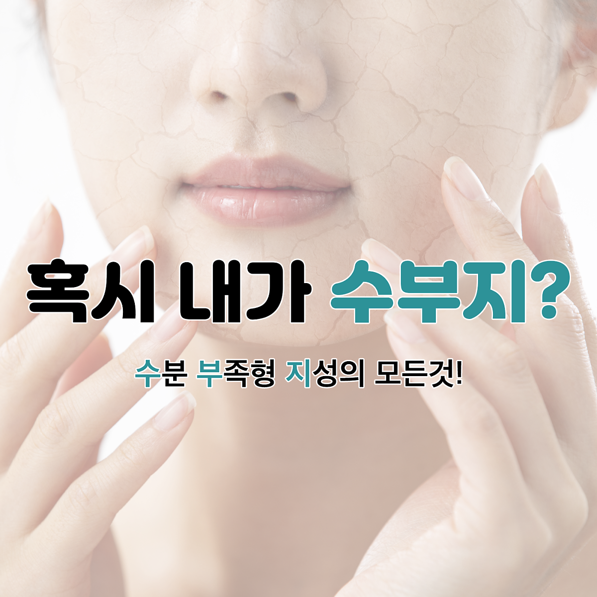 수부지 수분크림으로 좋은 피부재생크림 추천 네이버 포스트