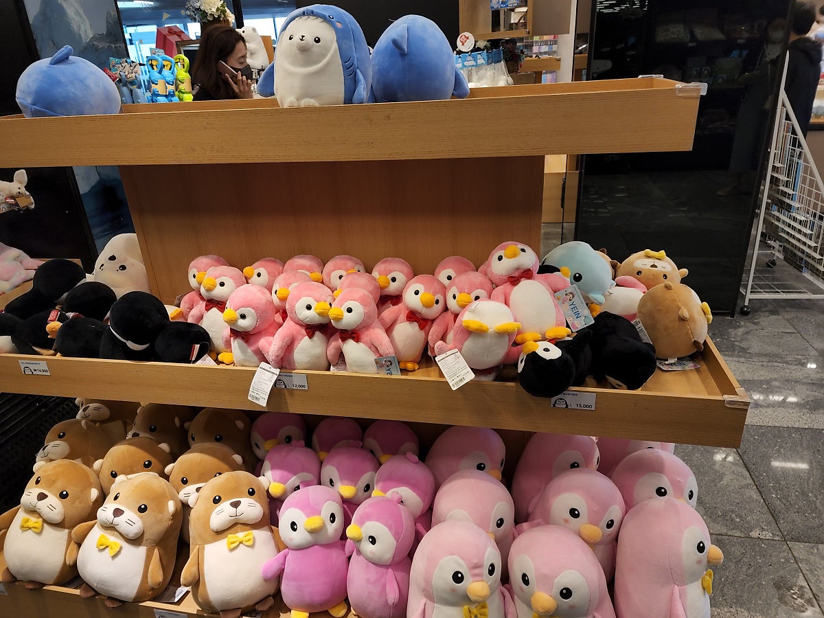 제주 동부 가볼만한곳 아쿠아플라넷 아쿠아리움 할인 찐 관람후기 네이버 포스트