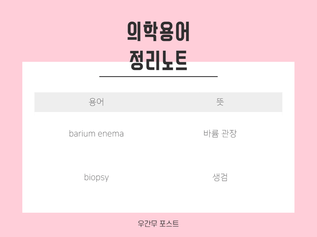 소화기계 의학용어 정리 노트 A B C 편 네이버 포스트