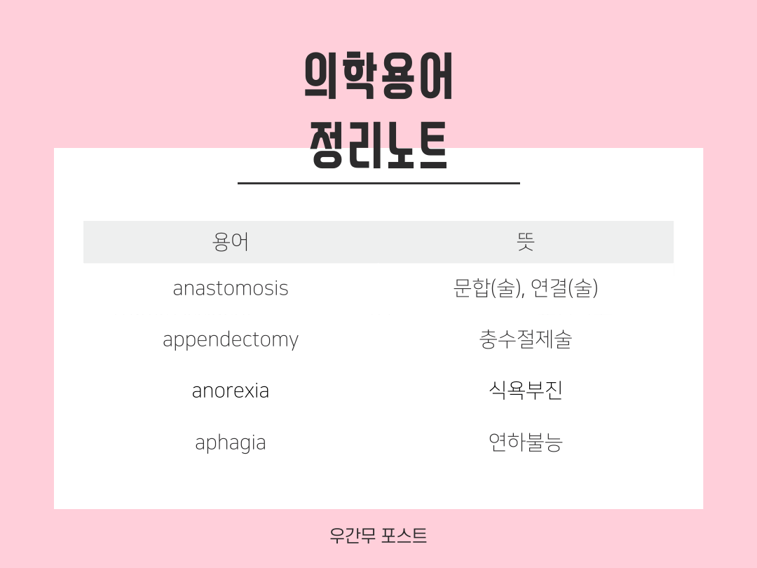 소화기계 의학용어 정리 노트 A B C 편 네이버 포스트