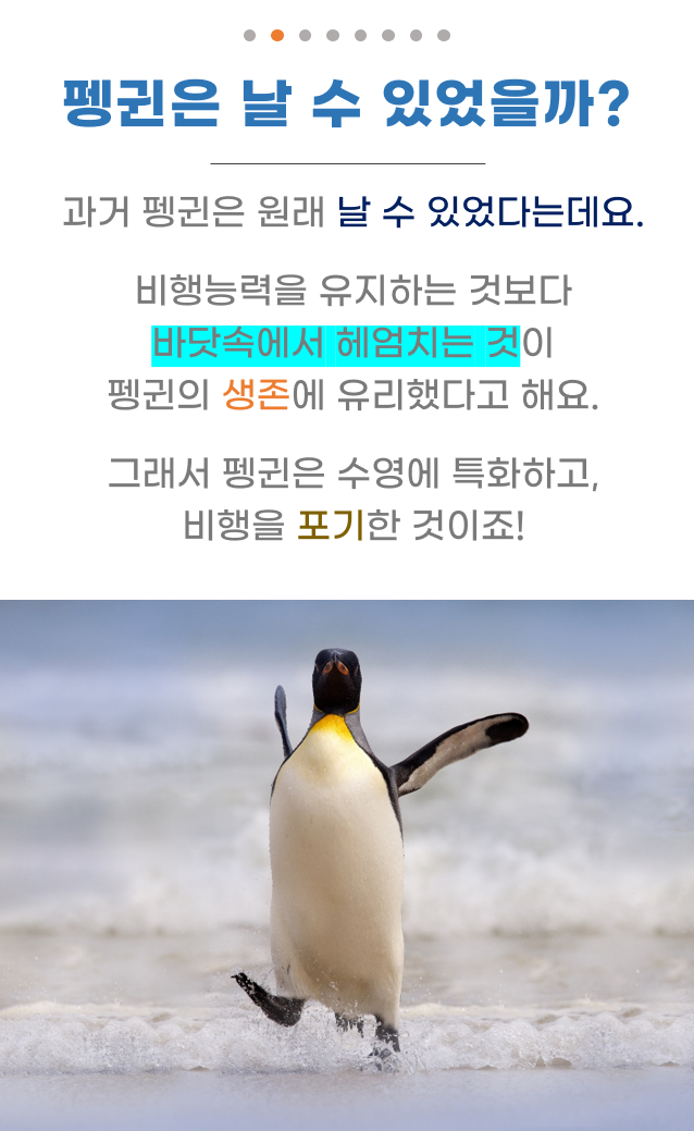 극지 생물 고것이 알고 싶다 펭귄 대왕고래 네이버 포스트