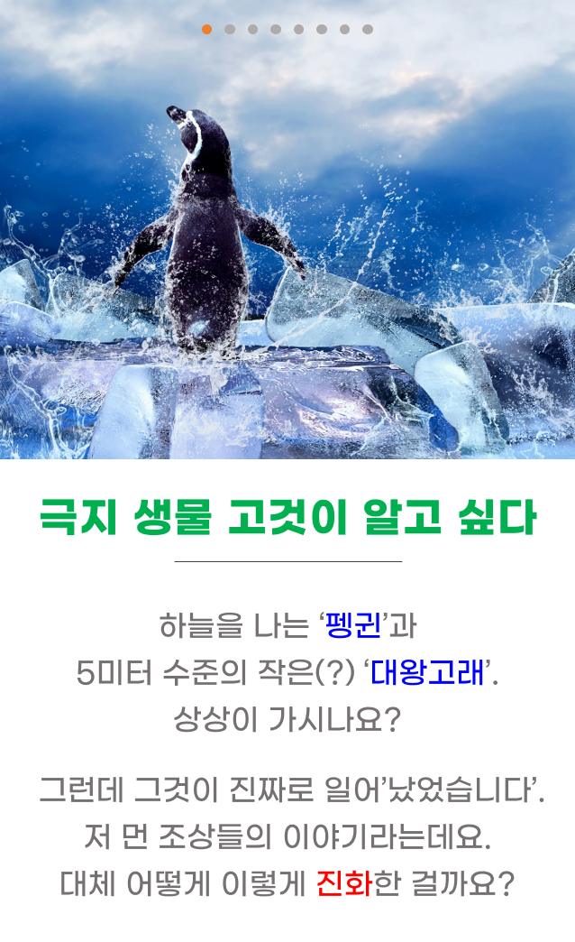 극지 생물 고것이 알고 싶다 펭귄 대왕고래 네이버 포스트