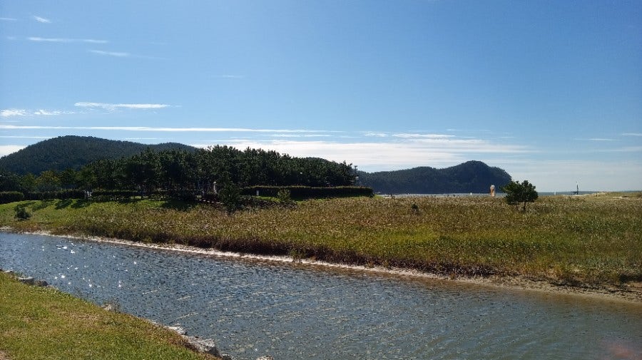 부산여행 부산에서는 일본 대마도가 잘 보인다 한국과일본 사이의 거리49km 일본 대마도여행 네이버 포스트