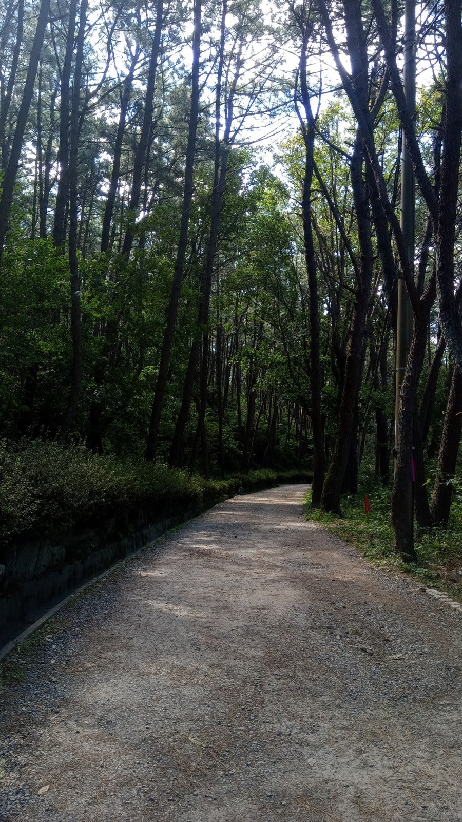 부산여행 부산에서는 일본 대마도가 잘 보인다 한국과일본 사이의 거리49km 일본 대마도여행 네이버 포스트