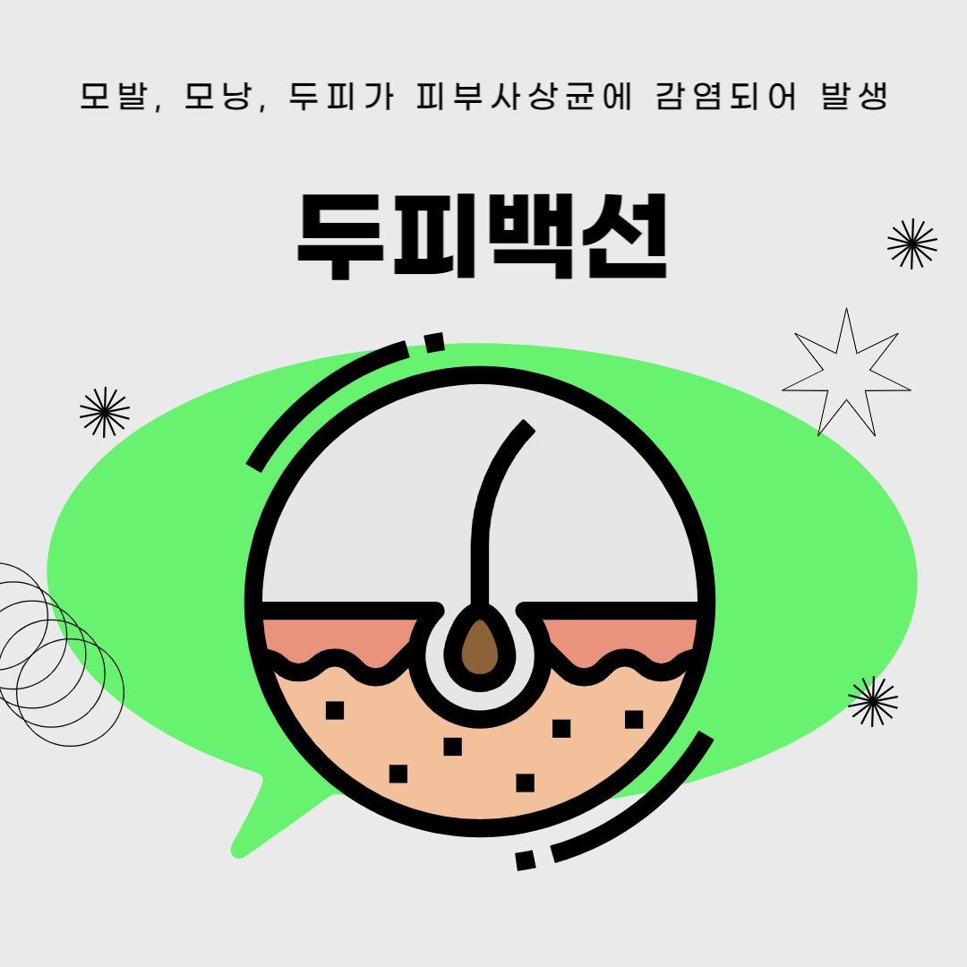 두피 체부 사타구니 백선 증상원인 발백선 무좀 곰팡이균 네이버 포스트