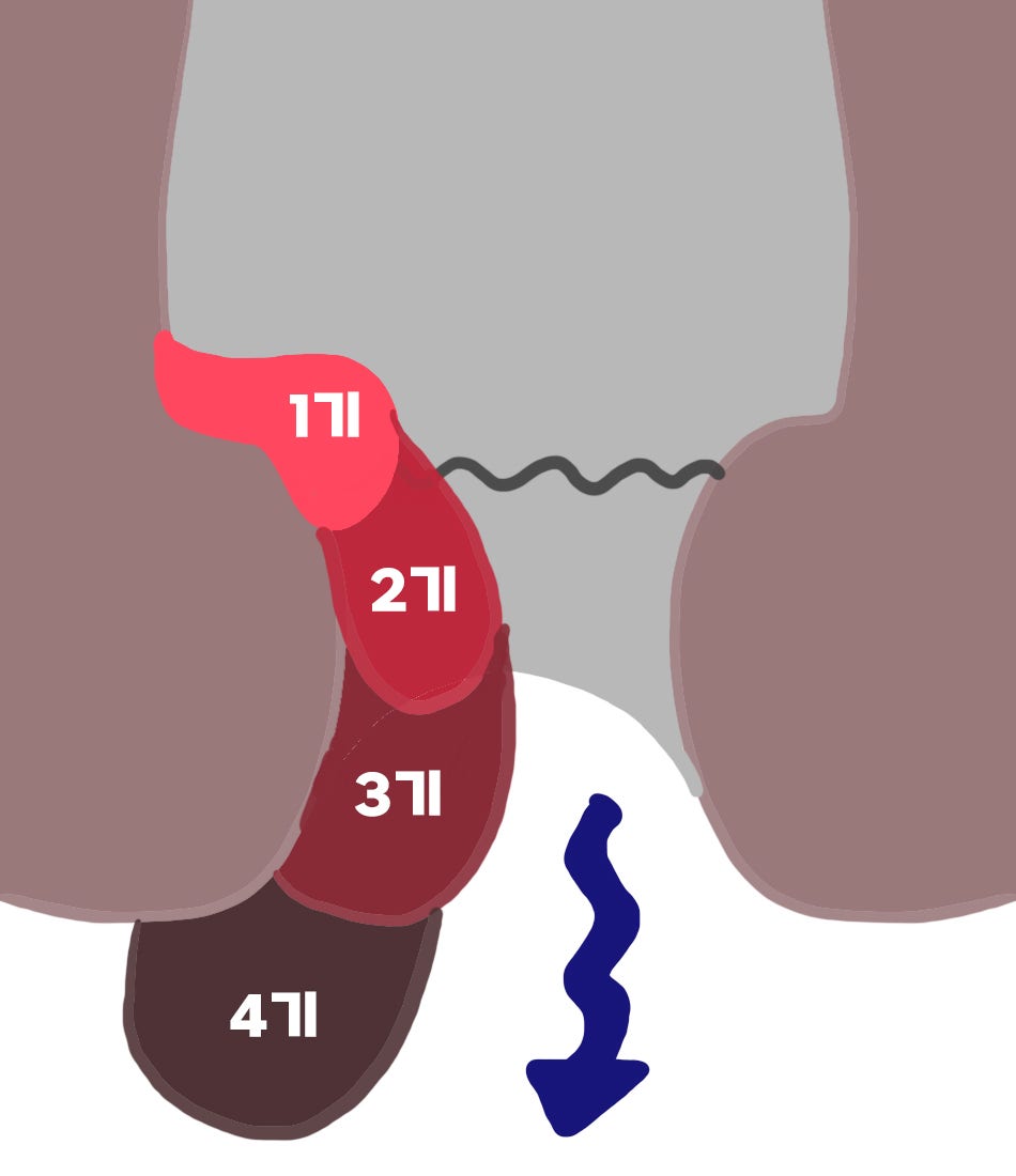 치핵 증상 빨리 극복하는법 Ft 치핵 자연치료 외치핵 내치핵 네이버 포스트