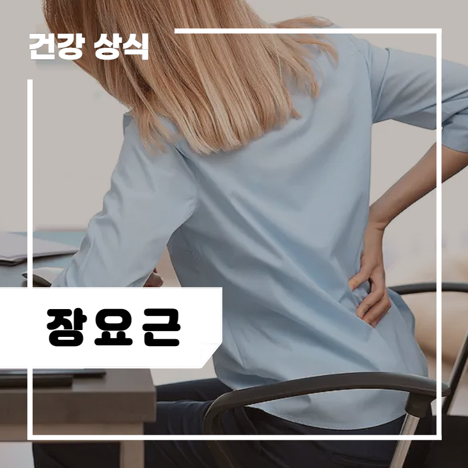 장요근 통증 원인 및 스트레칭 5가지 네이버 포스트