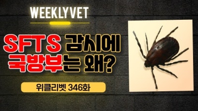 [위클리벳 346회] 반려동물↔사람 전파 SFTS, 어떻게 관리? : 네이버 포스트