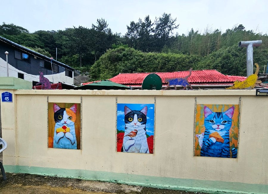 고흥여행 나로도 쑥섬 고양이 걸어서 쑥섬 한바퀴 섬속의 섬 작은섬 쑥섬 고양이섬 바다 숲 네이버 포스트