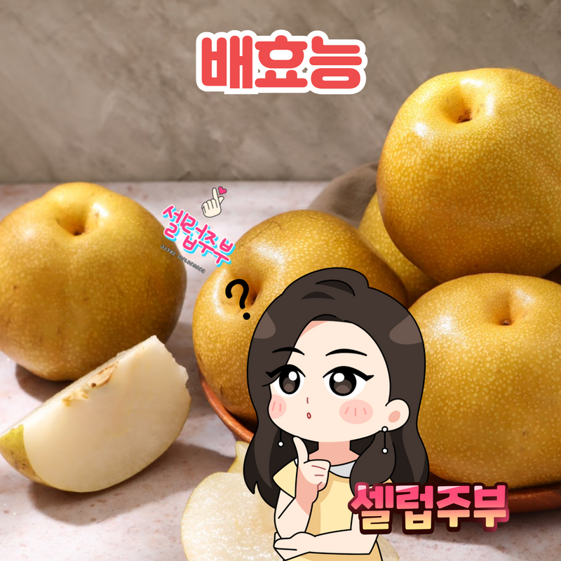 배효능 Top10 배즙 감기예방에 좋아 네이버 포스트