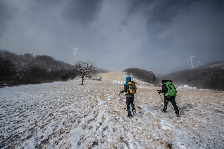 대관령 선자령 등산코스부터 백패킹 정보까지 네이버 포스트