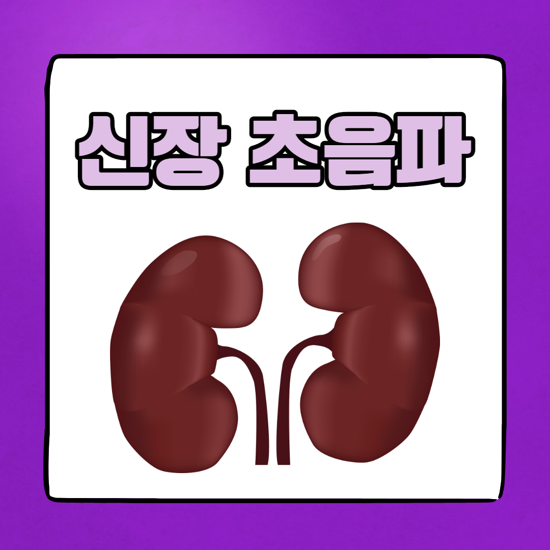 신장 전립선 초음파검사 과정 비뇨생식기 초음파검사 네이버 포스트