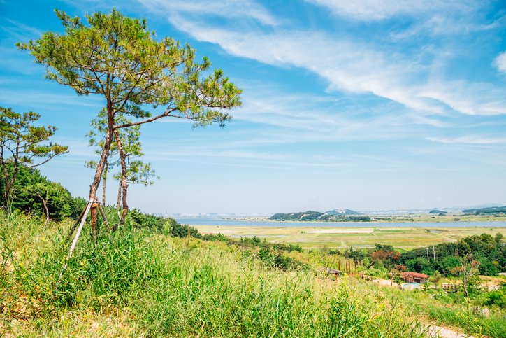 안산드라이브 코스 갈만한곳 바다향기수목원 화랑유원지 네이버 포스트