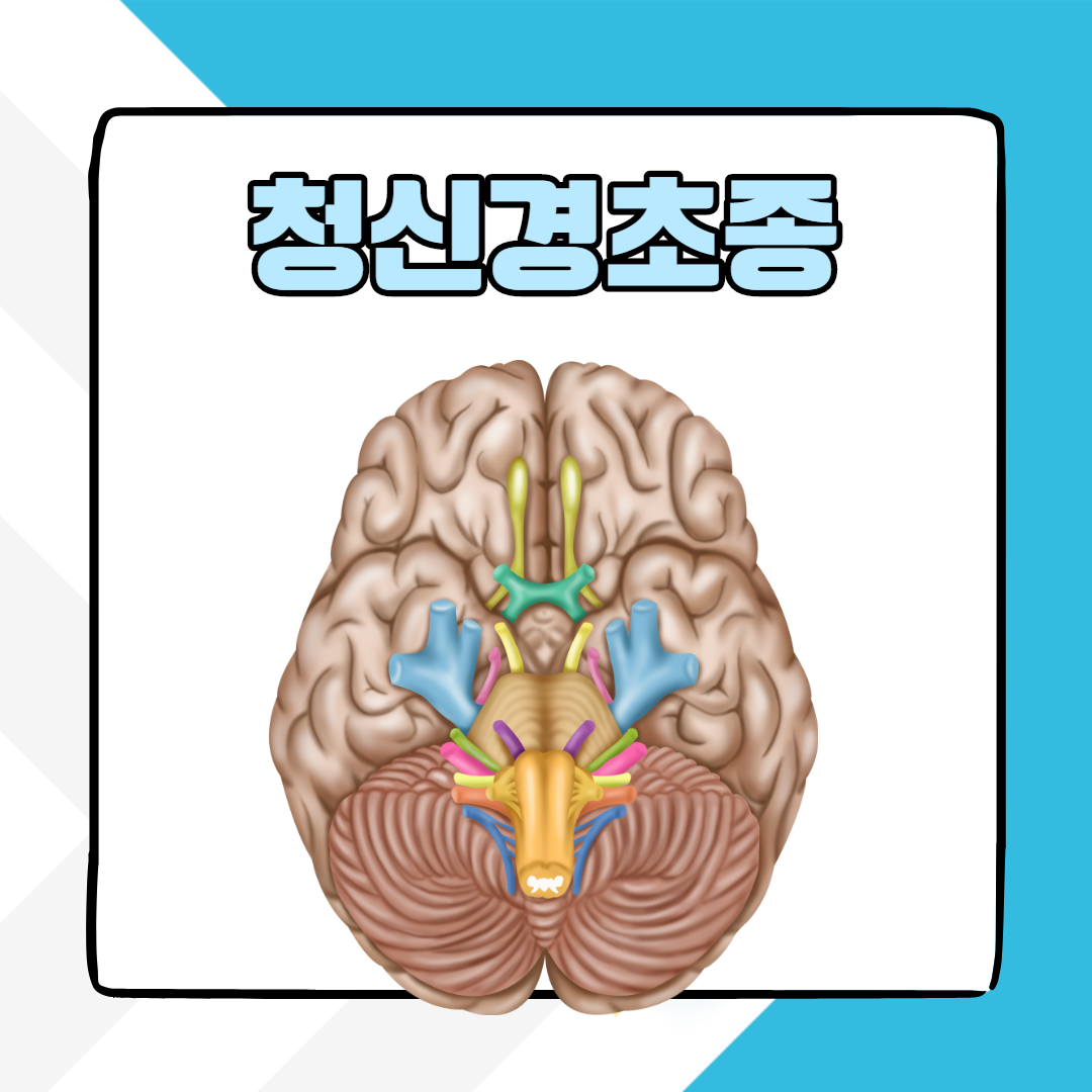 청신경초종 증상 한쪽귀가안들려요 귀이명소리 어지러울때 의심 네이버 포스트
