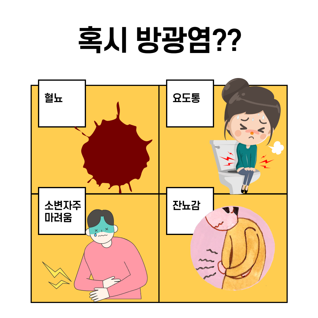 남자여자 소변자주마려움” 오줌소태증상 급성 방광염 원인 네이버 포스트