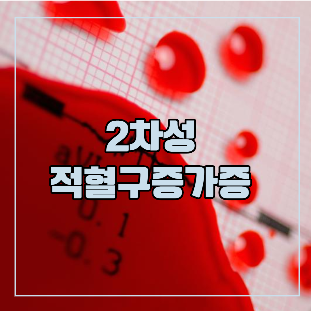 적혈구수 수치와 적혈구증가증 증상과 침강속도 알아보니 다혈구증 네이버 포스트