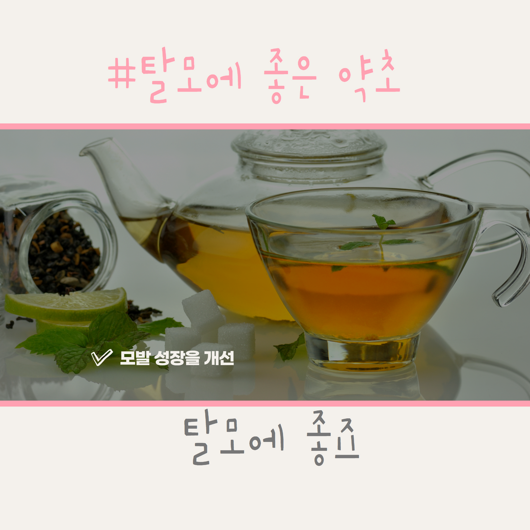 어성초 자소엽 녹차 효능 탈모에 좋은 약초 발모제 만들기 네이버 포스트