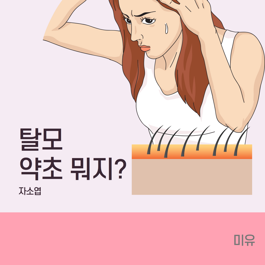 어성초 자소엽 녹차 효능 탈모에 좋은 약초 발모제 만들기 네이버 포스트