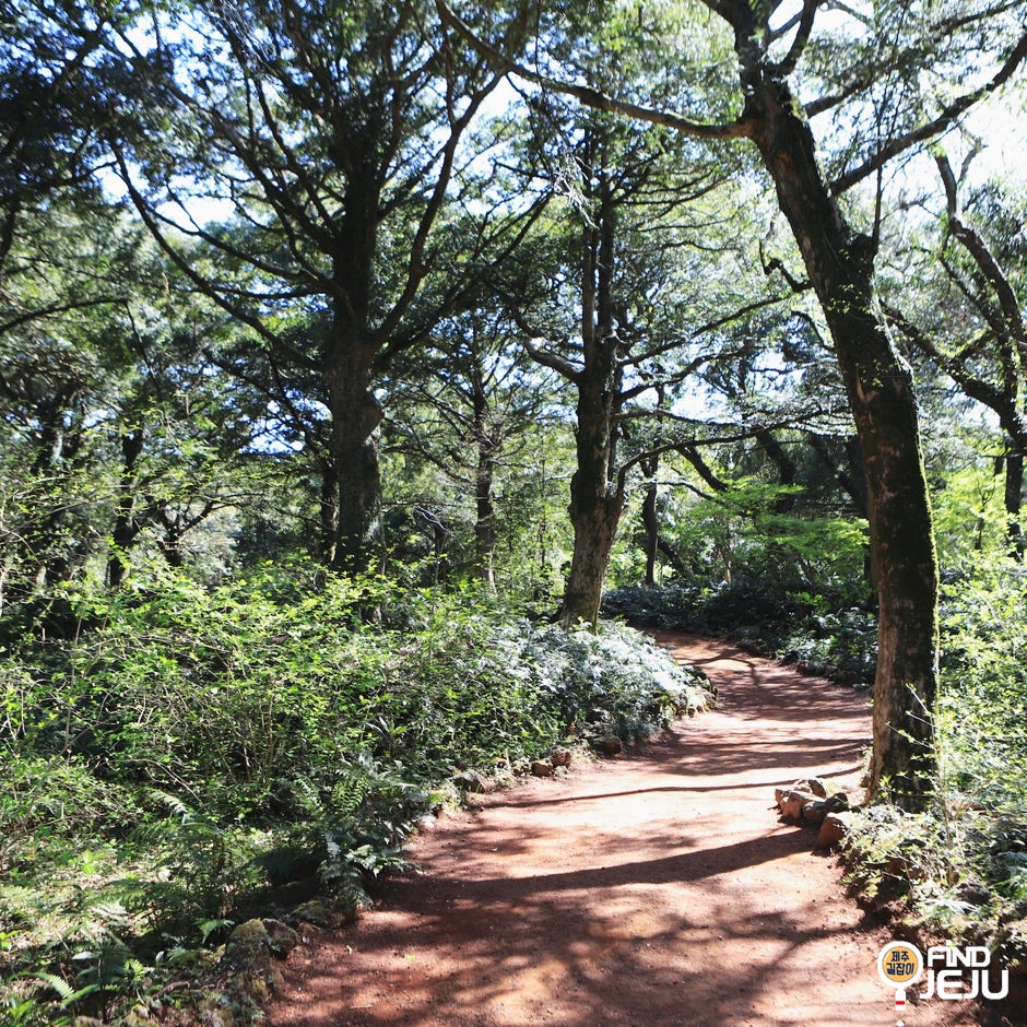 제주 구좌읍 가볼만한곳 제주도 동쪽 코스 Best 4 네이버 포스트