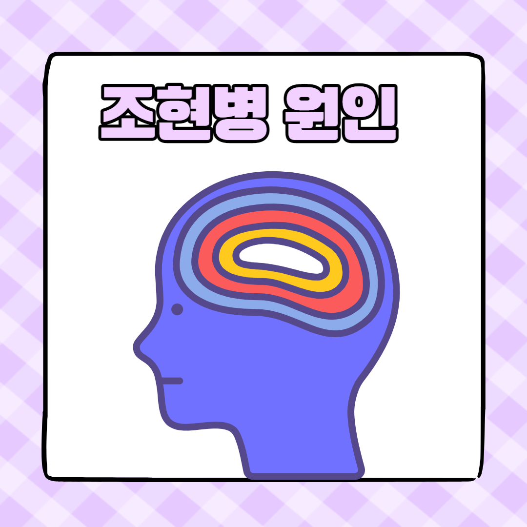 조현병 초기 정신분열증 증상 원인피해 과대 망상증환청 네이버 포스트