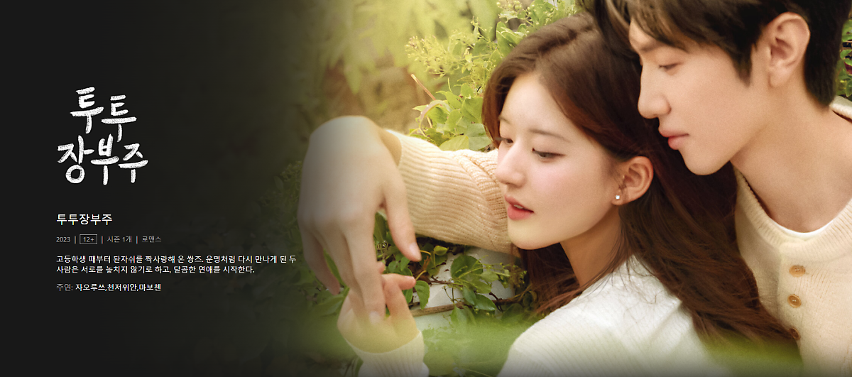 투투장부주 너를 좋아해 원작 소설 및 웹툰 정보 알아보기 네이버 포스트