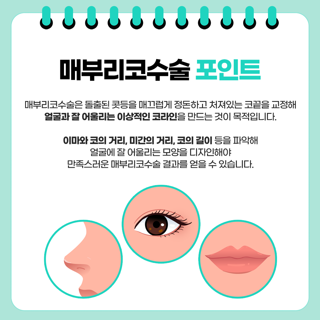 코수술 유형 매부리코수술 휜코수술 등 코성형 중요한 점은 네이버 포스트