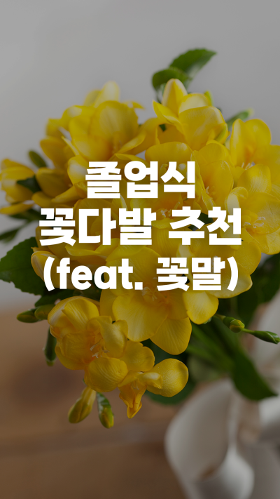 프리지아 꽃말은 꽃말로 본 졸업식 생화 꽃다발 추천 네이버 포스트